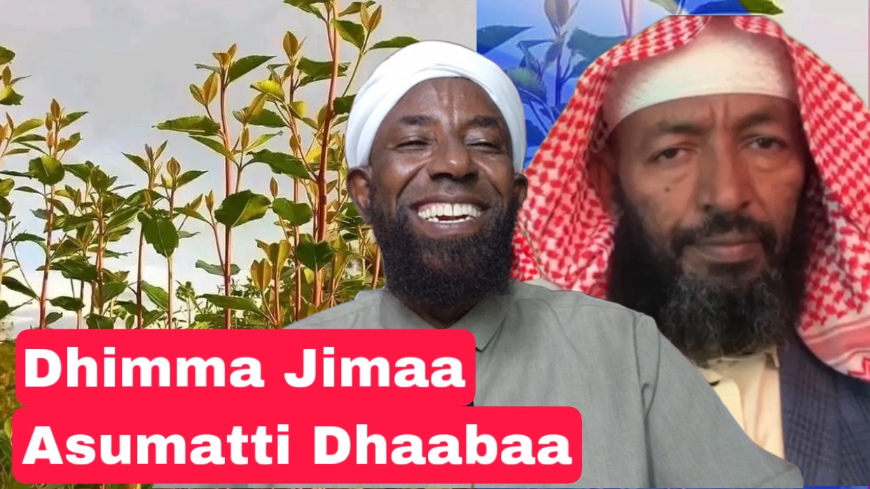 Jimaa fi shee Ali Jimmaa Ilaalchisee Sheik Amin Ibroo – United Oromia